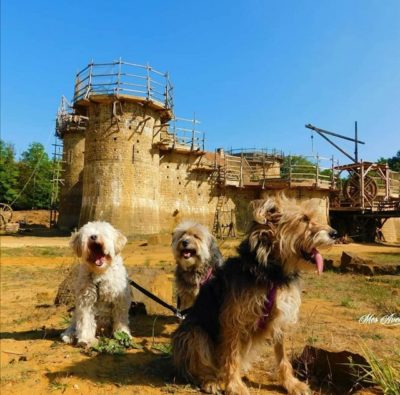 Les 13 plus beaux châteaux à visiter avec son chien