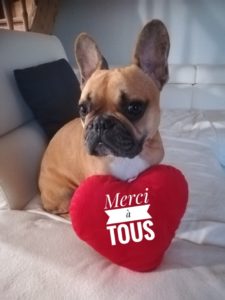 MERCI !!! | Tourisme avec mon chien