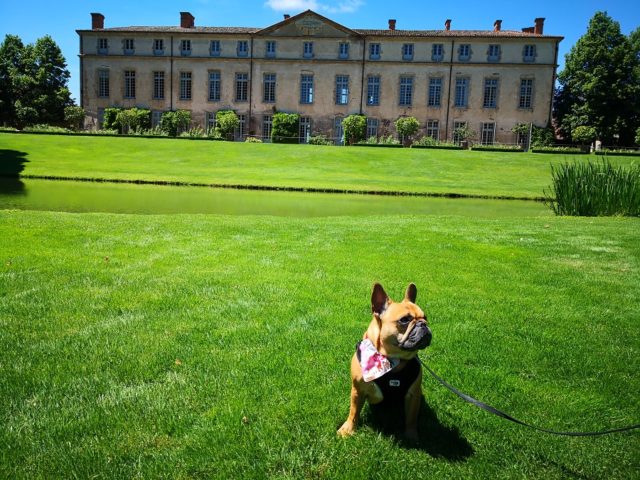 Les 13 plus beaux châteaux à visiter avec son chien