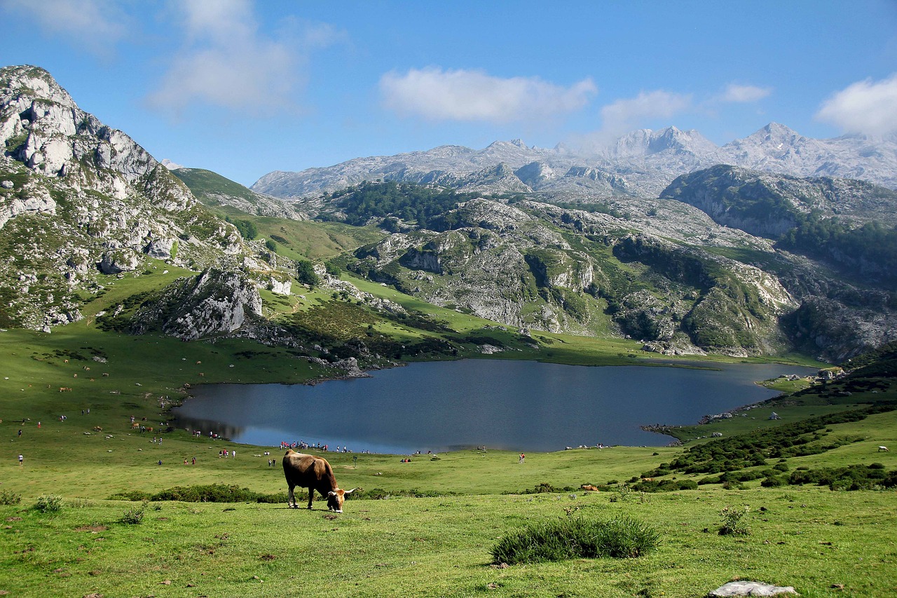 16 randonnées à faire avec son chien dans les Pyrénées
