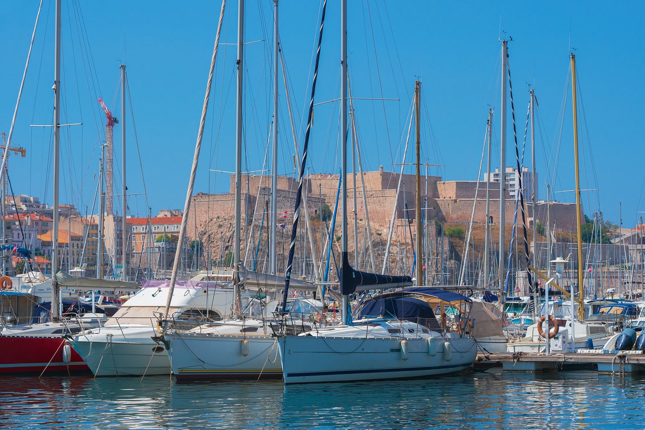 Visiter Marseille avec son chien : le top 10 des choses à faire